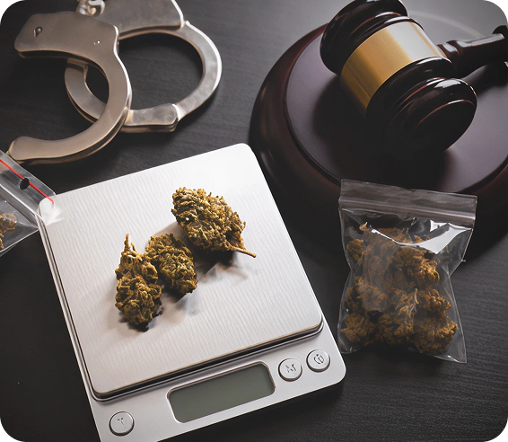 Drug Crimes Archives - Rose Law Firm [WP Website]
